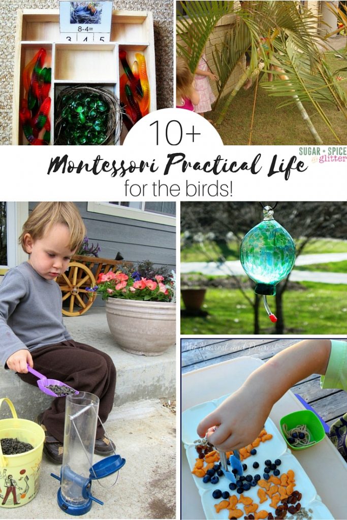 50+ Ideas for a Preschool Bird Unit Study ⋆ Sugar, Spice and Glitter