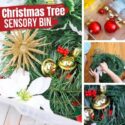 Christmas Tree Sensory Bin ⋆ Sugar, Spice and Glitter