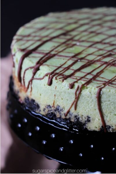 Instant Pot Mint Chocolate Chip Cheesecake ⋆ Sugar, Spice and Glitter